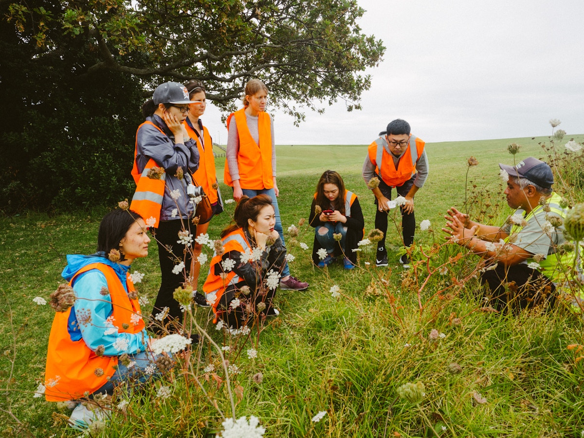 Coast & Waterway Conservation Volunteering in Auckland, New Zealand