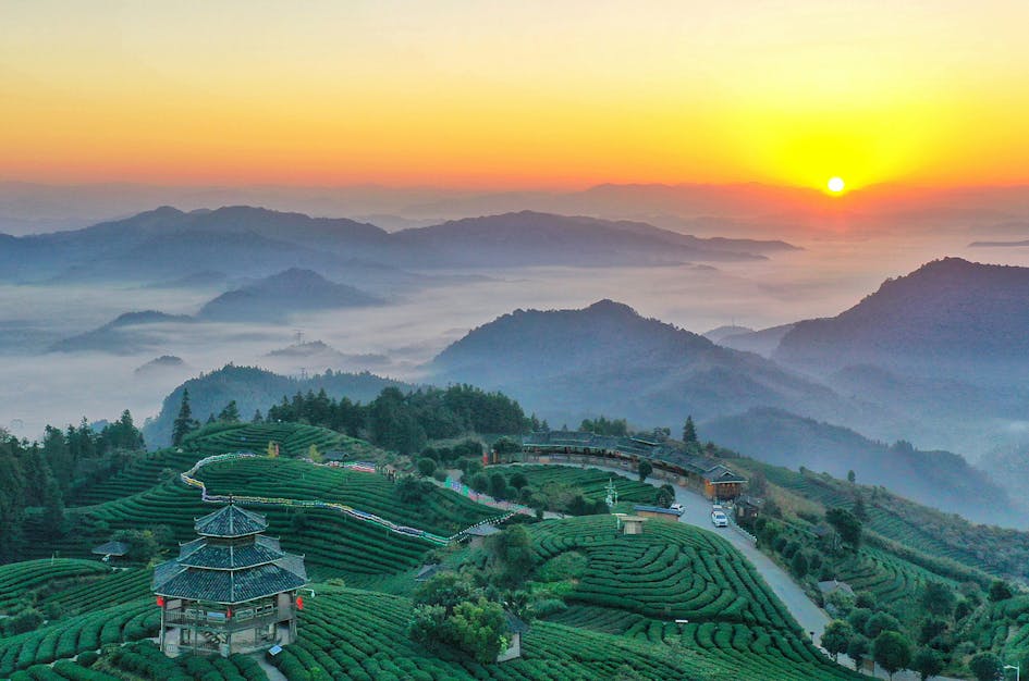 Volunteer in China | IVHQ | World's #1 Rated Programs