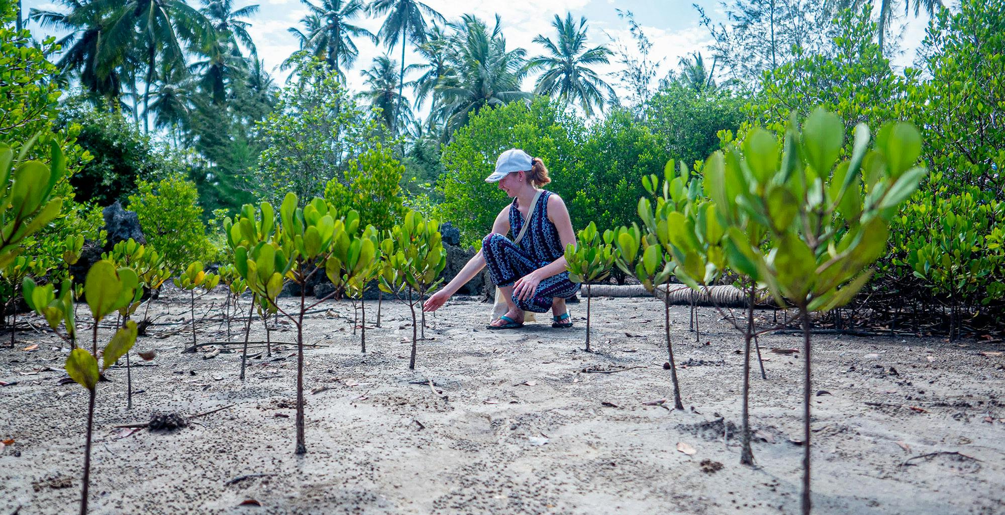 Discover Our Latest Volunteer Projects | IVHQ