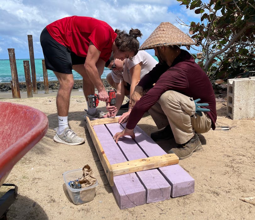 NGO Volunteer Opportunities Abroad | IVHQ