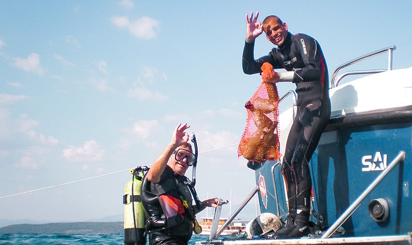 Best Sea Turtle & Marine Conservation Volunteer Abroad Programs | IVHQ