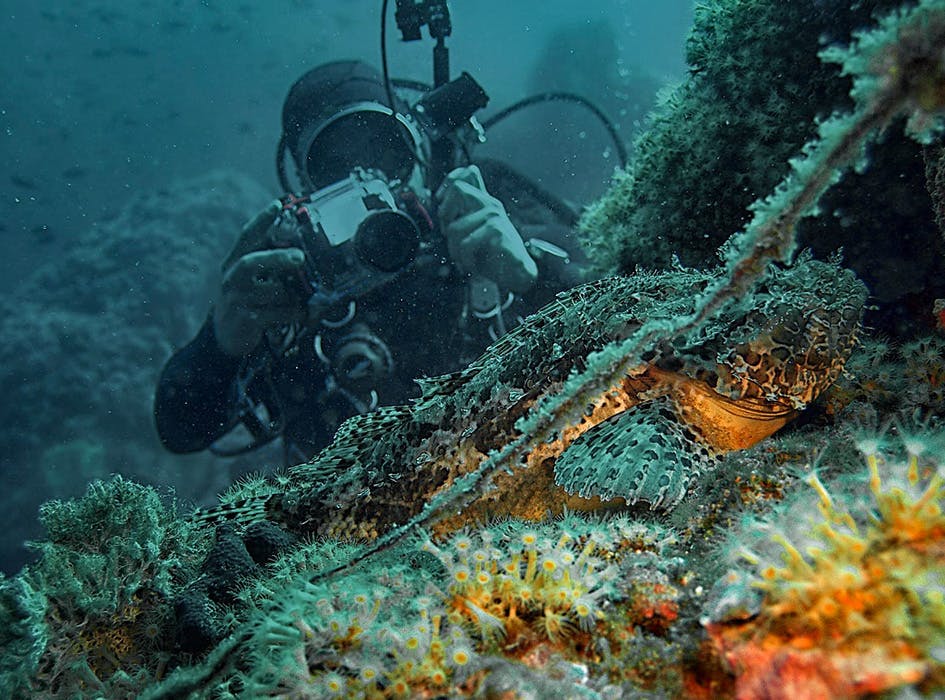 Marine Conservation Volunteer Program in Croatia - Omiš Volunteering in ...