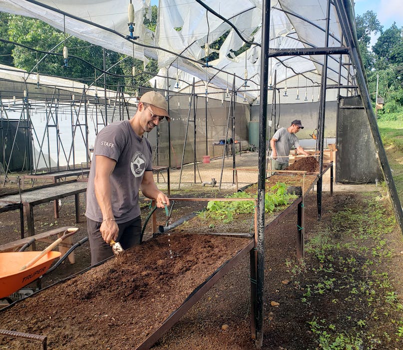 Ecological Conservation and Restoration Volunteering in Galapagos ...