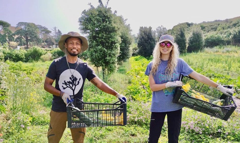 Community Support Volunteer Work in Italy - Rome | IVHQ