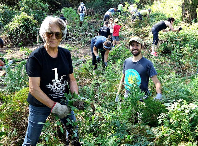 Forest Conservation Volunteer Program in Lisbon - Portugal