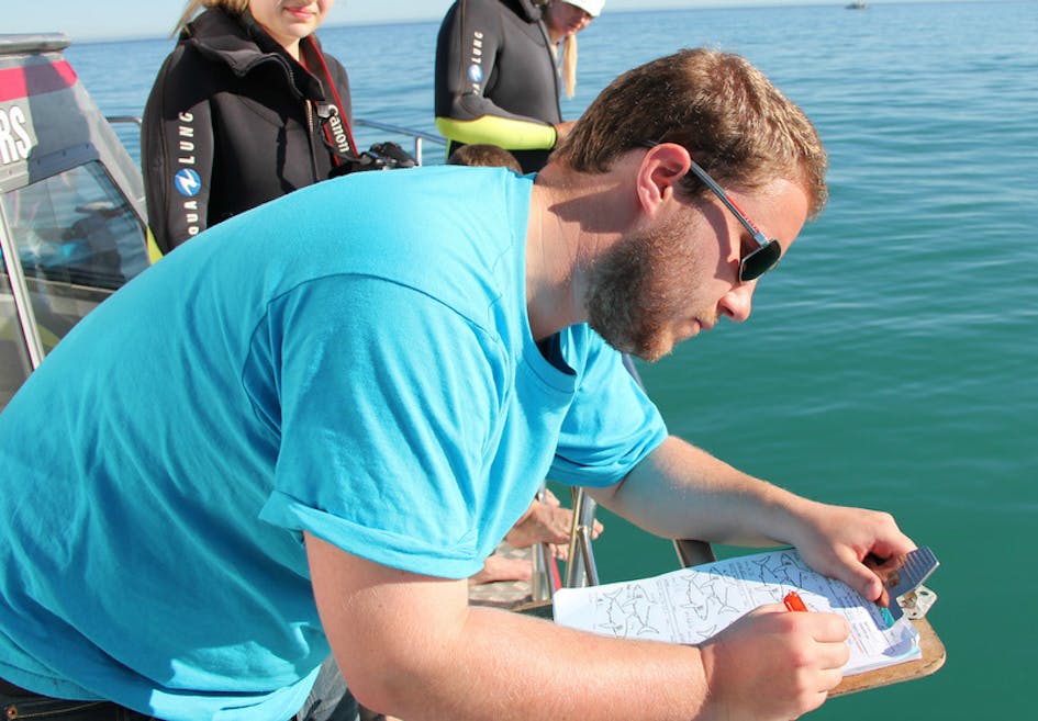 Marine Conservation volunteering in South Africa | IVHQ